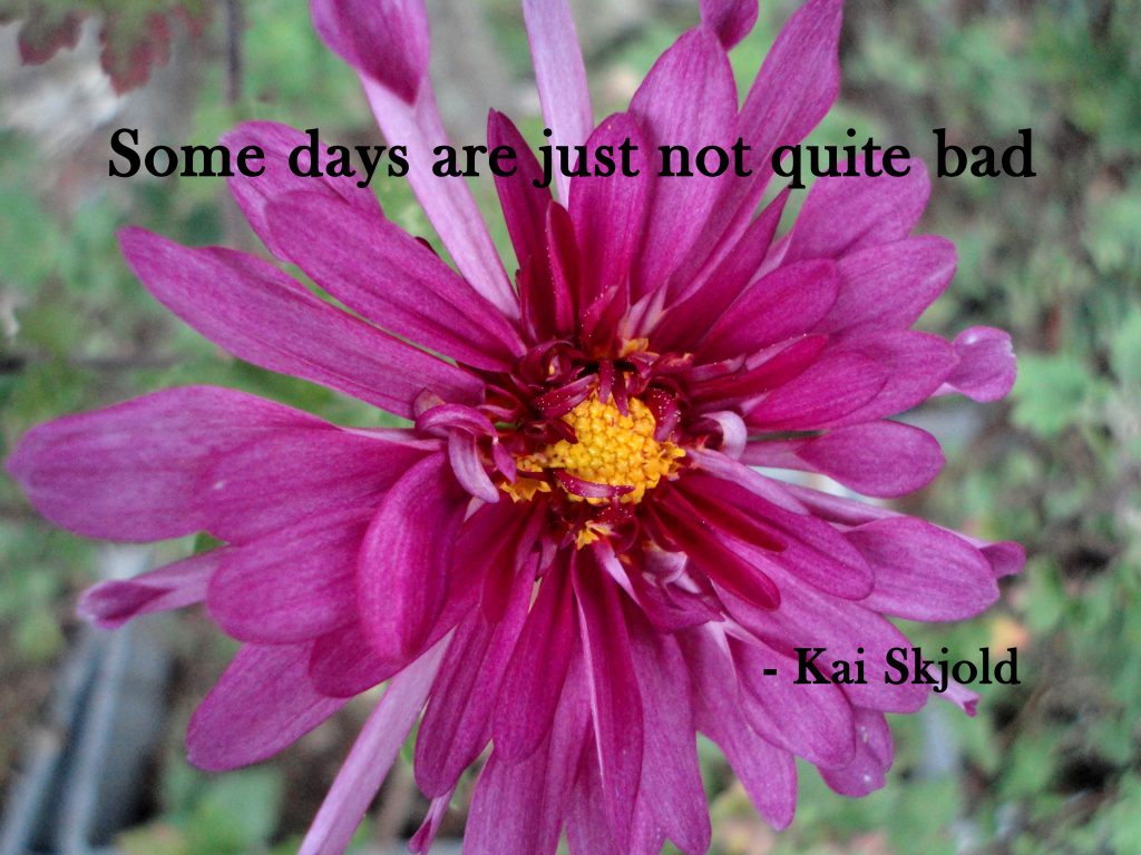 Not Quite a Bad Day - A blog about life on the spectrum